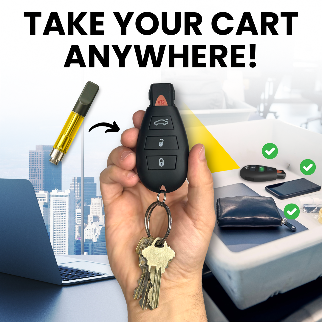 Car Key Penjamin by Smyle™ Labs | Shop Online